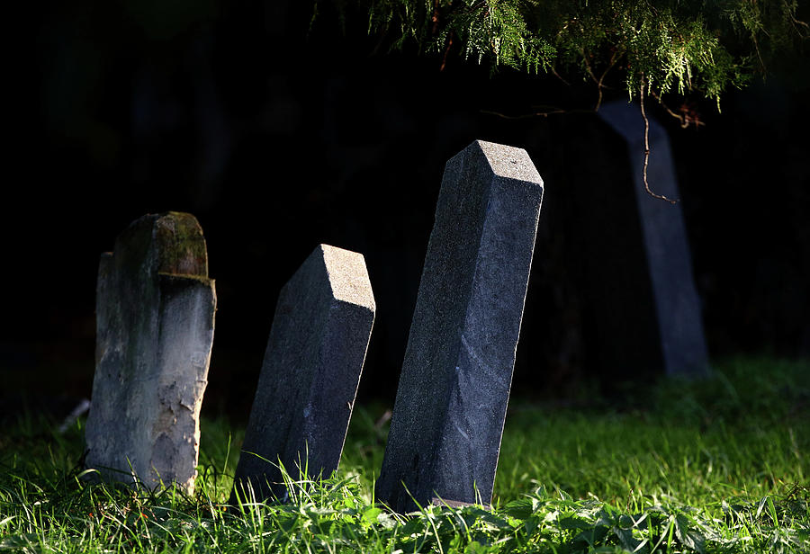 Tombstones Are Seen at the Central Photograph by Lisi Niesner - Fine Art America