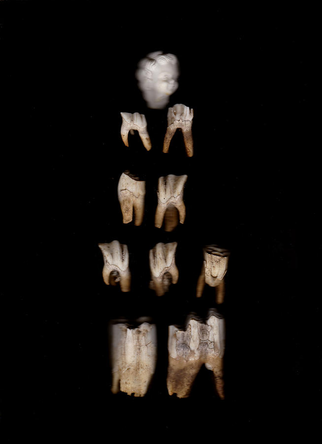 Tooth Tree Photograph by Shae McMaster | Pixels