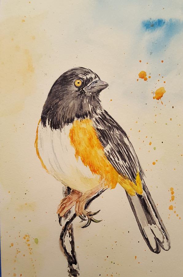 Towhee Painting by Deborah Gerhardt | Fine Art America