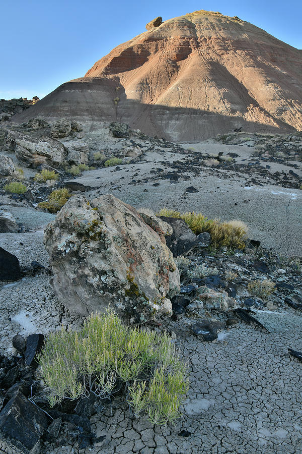 Trail Behind Ruby Mountain Photograph by Ray Mathis - Fine Art America