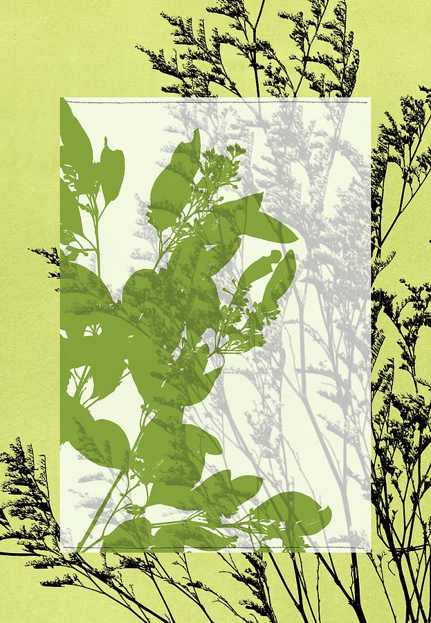 Translucent Wildflowers IIi Painting by Jennifer Goldberger - Fine Art ...