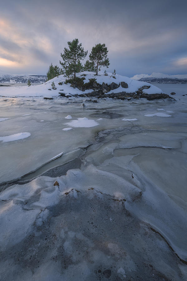 Tree Island Photograph by Pilar Hm - Fine Art America
