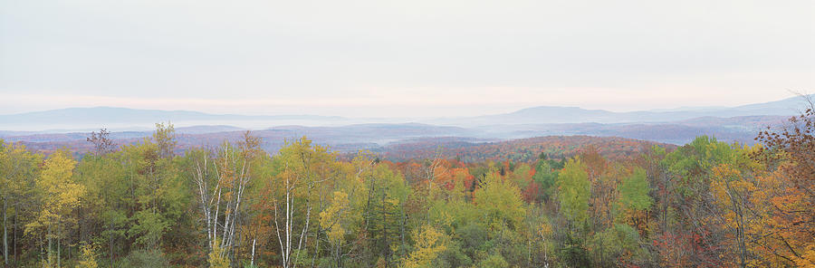 Trees On A Landscape, Vermont Route 11 Photograph by Panoramic Images ...