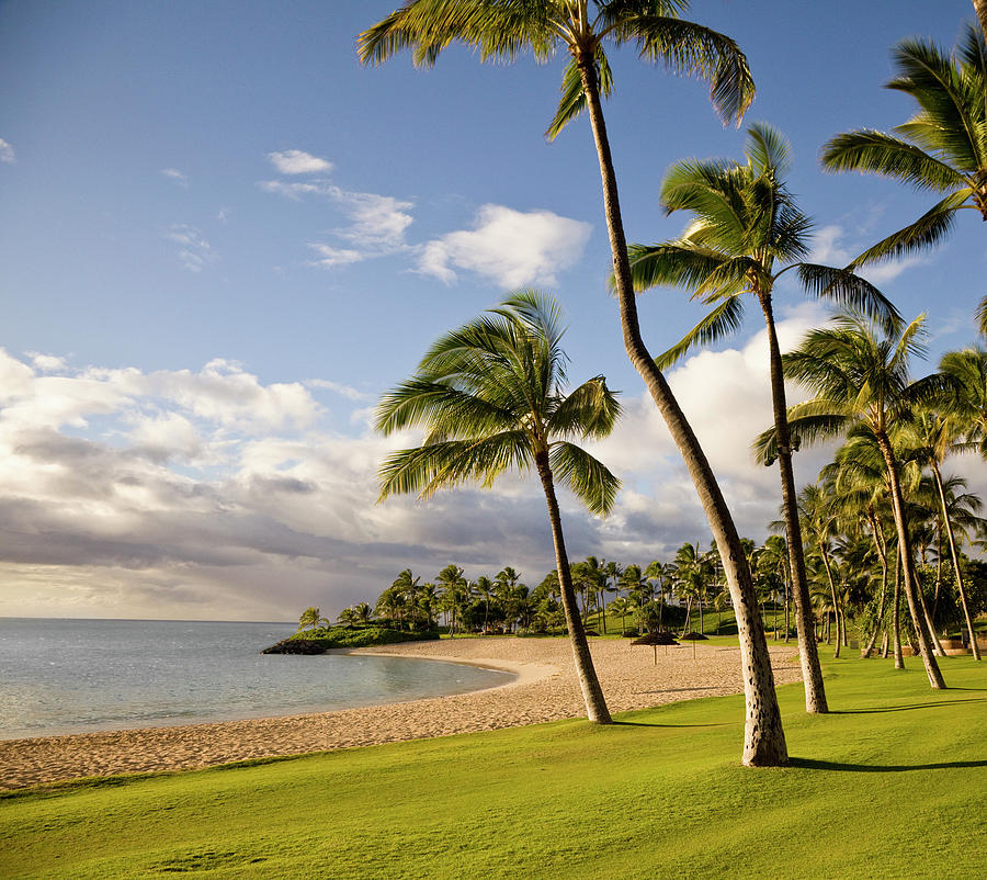 Tropical Beach Scene Photograph By John Lund Fine Art America