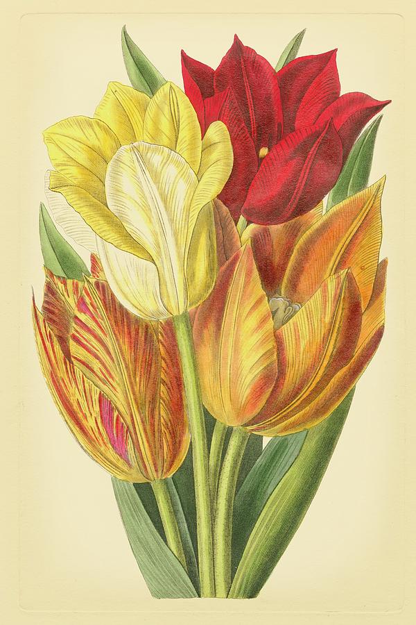 Tulip Array II Painting by Vision Studio - Fine Art America