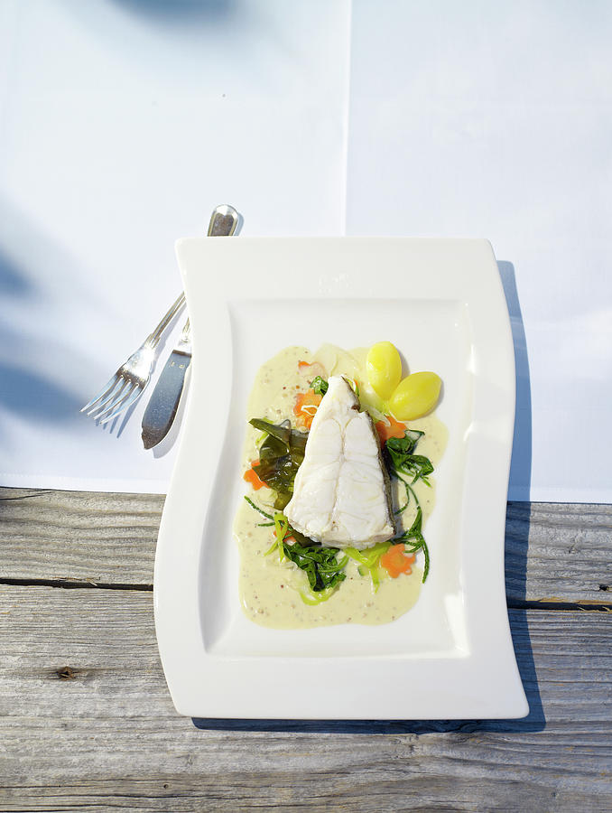 Turbot Back With Champagne Mustard Sauce On Serving Dish Photograph by ...