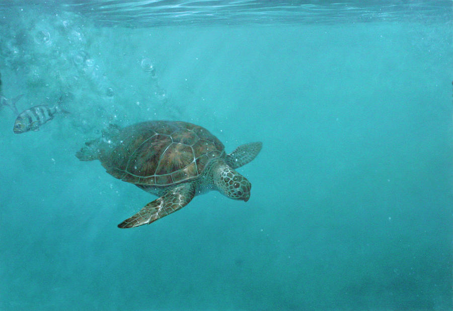 Turtle 2 Painting by Michael Jackson - Fine Art America