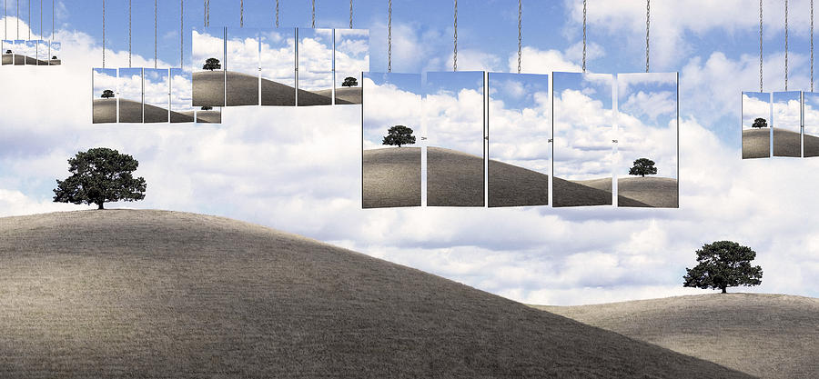 Two Trees Photograph by Daniel Murphy - Fine Art America