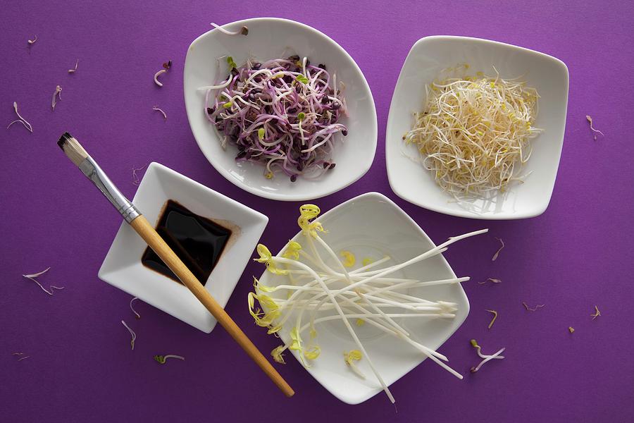 Various Types Of Bean Sprouts In White Bowls Photograph by ...