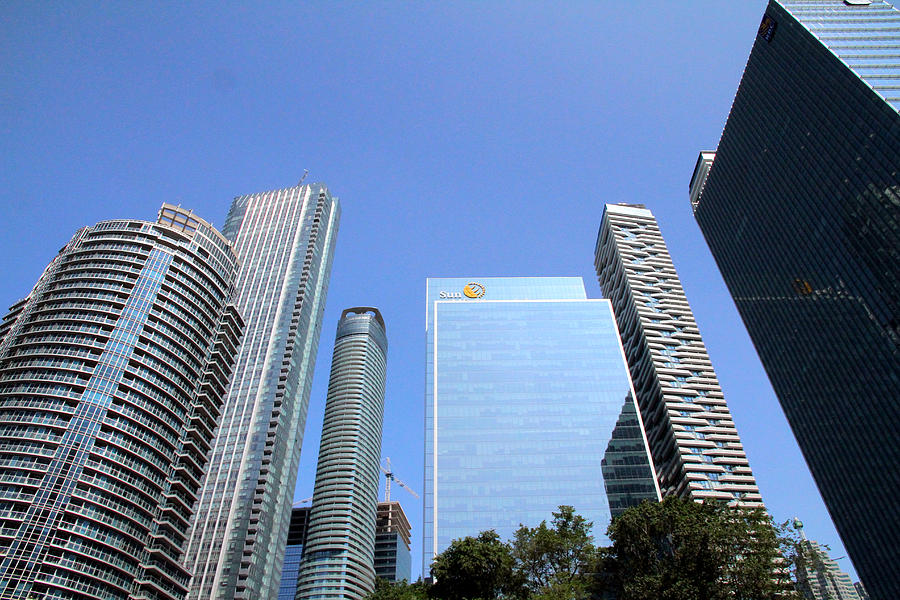 Vertical Development Photograph by Valentino Visentini - Fine Art America