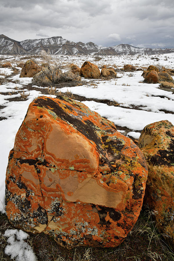 Vibrantly Colored Boulder in the Book Cliff Desert Photograph by Ray ...