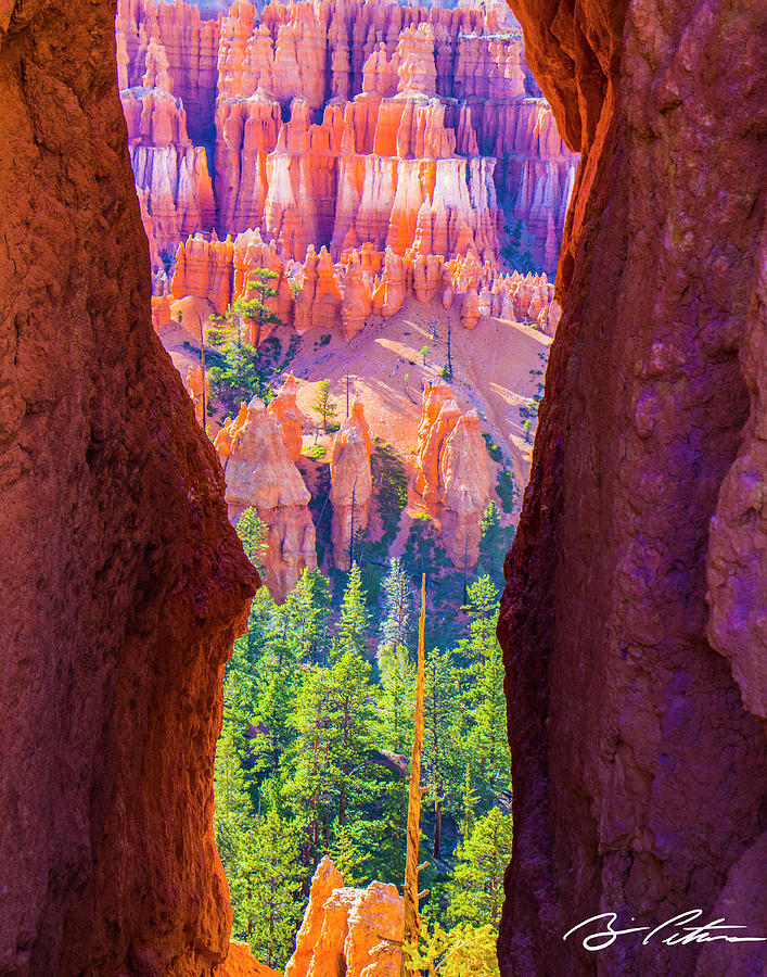 View into Bryce Photograph by Brian Peterson | Fine Art America