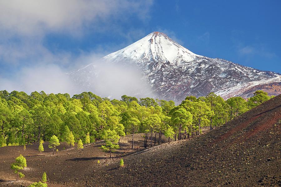 View Of Teide Volcano Mount Photograph by Jan Wlodarczyk - Fine Art America