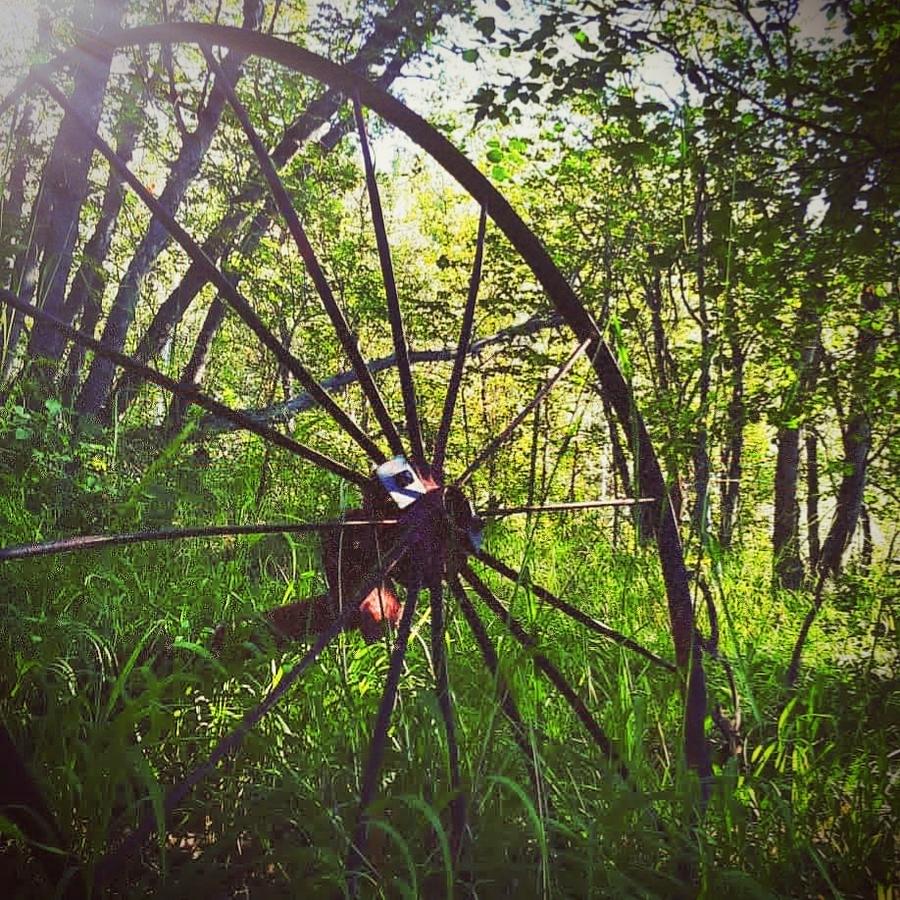 Walk through time Digital Art by Lia Earnshaw - Pixels