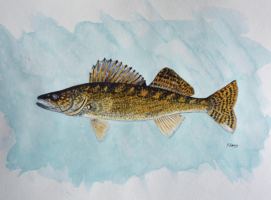Walleye Painting Painting by Stephen Emms - Fine Art America