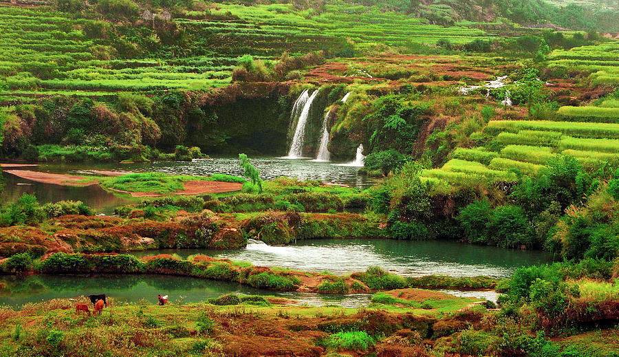 Wanfenglin by Simonlong