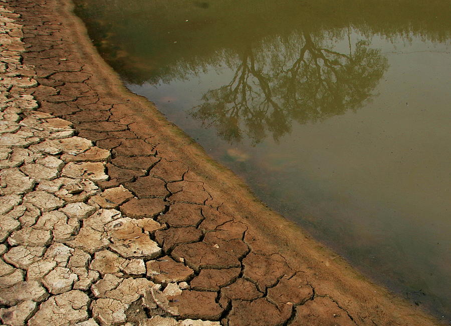 Water on the Bottom of a Pond Photograph by Jose Manuel Ribeiro - Fine ...