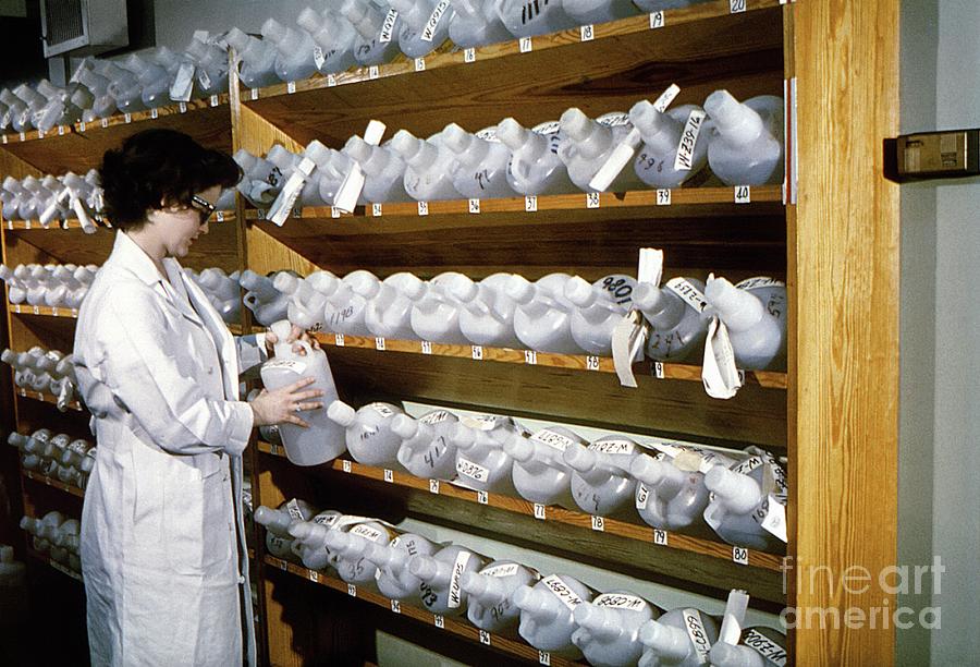 Water Sample Radiation Testing Photograph by Cdc/science Photo Library ...