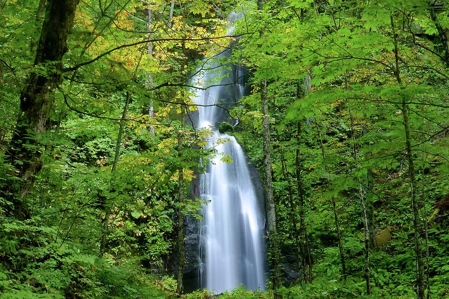 Waterfall by Jun Okada