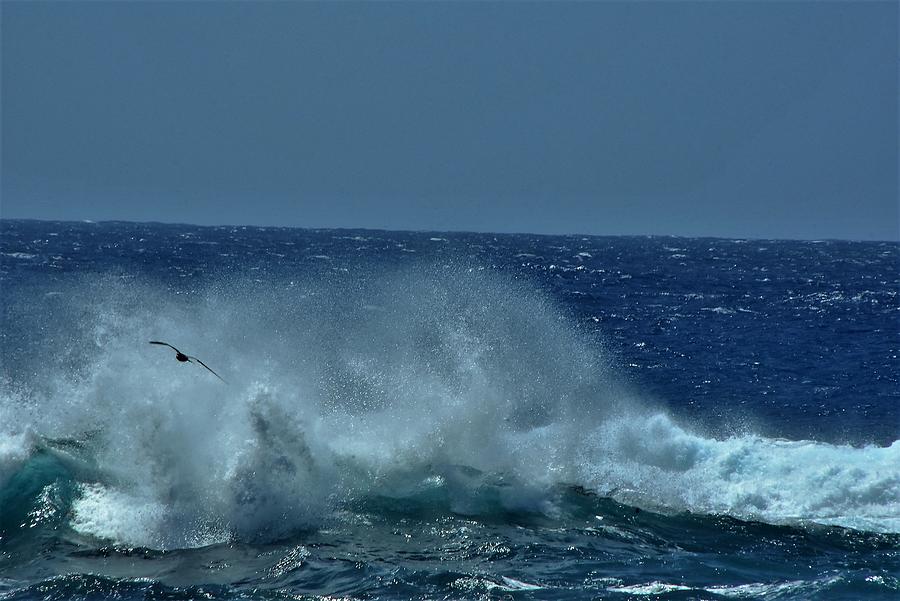 Waves on the Great Barrier Reef 8 Photograph by Flo McKinley - Fine Art ...