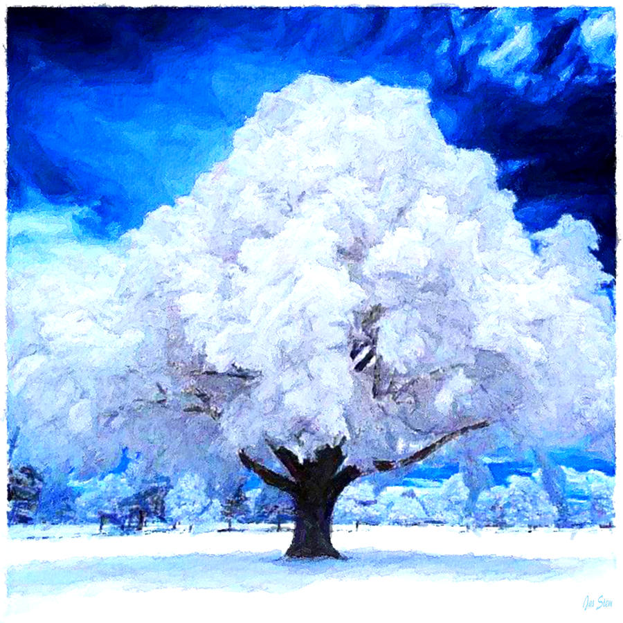 White Snow Tree Mixed Media By Jas Stem Fine Art America
