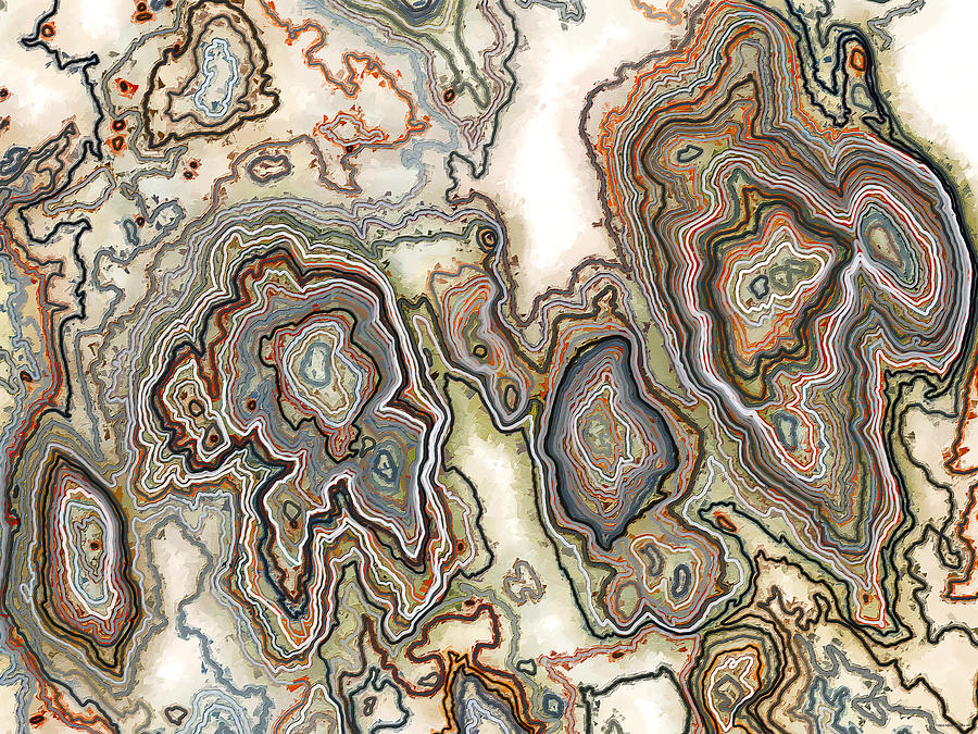 Acadia National Park #1 Digital Art by Topo - Fine Art America