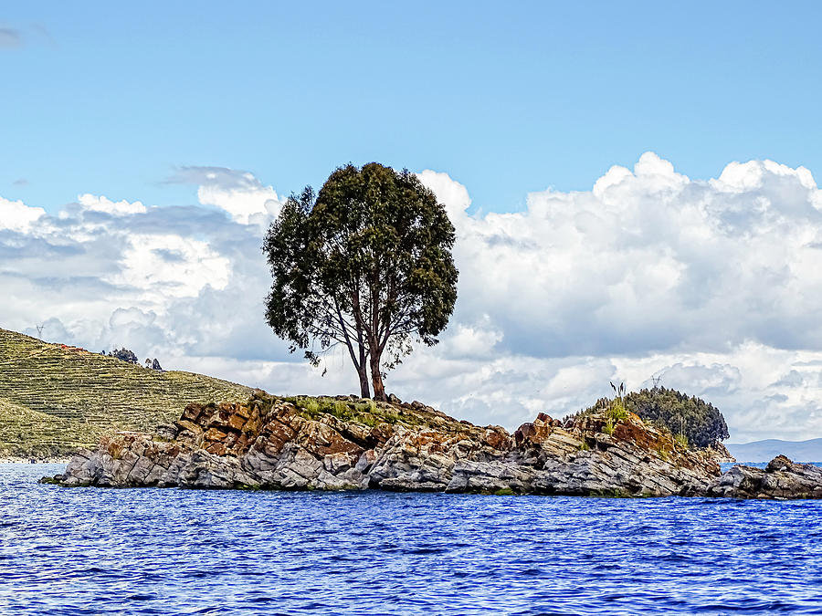A Tree on An Island Photograph by Aydin Gulec - Fine Art America