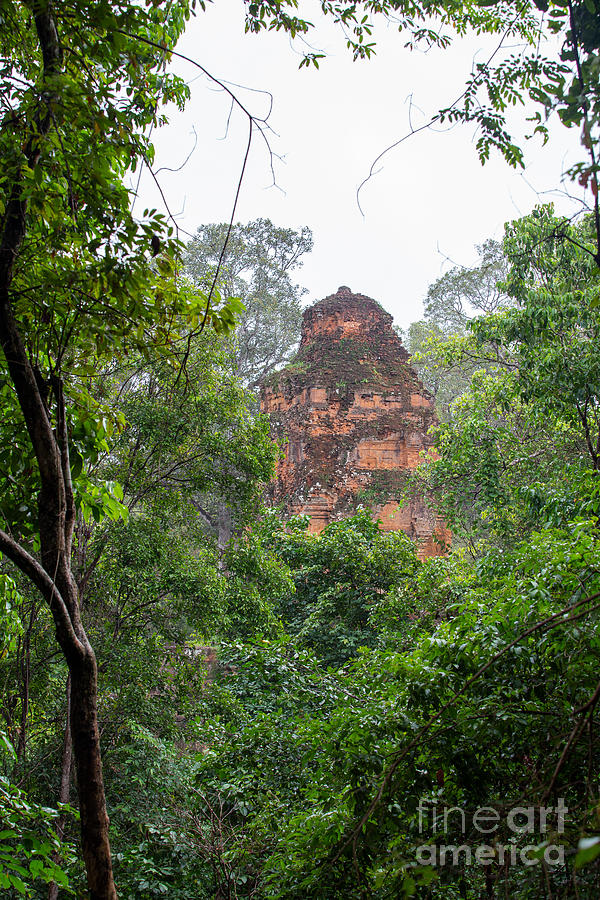 Angkor Wat Forest View Photograph By Danaan Andrew Pixels