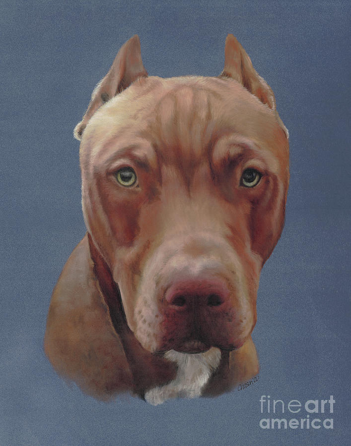 Ash Pastel by Kimberly Chason - Fine Art America