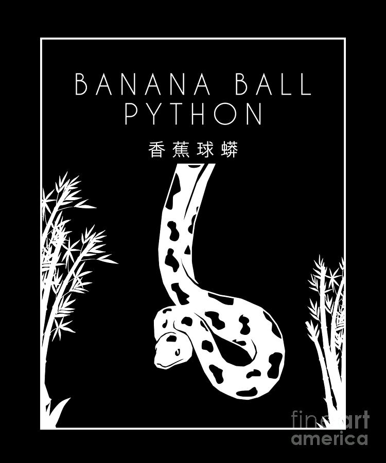 Banana Ball Python Chinese Hanzi Breeder Banana Ball Python Digital Art By Graphics Lab Fine
