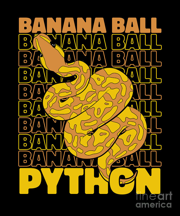 Banana Ball Python Pythonidae Snake Owner Banana Ball Python Digital ...