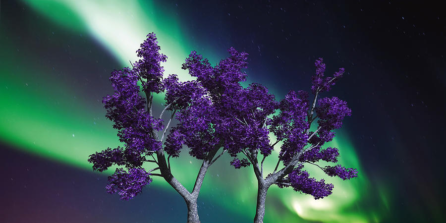 Beautiful colorful lonely tree./Night sky with stars and silhoue ...