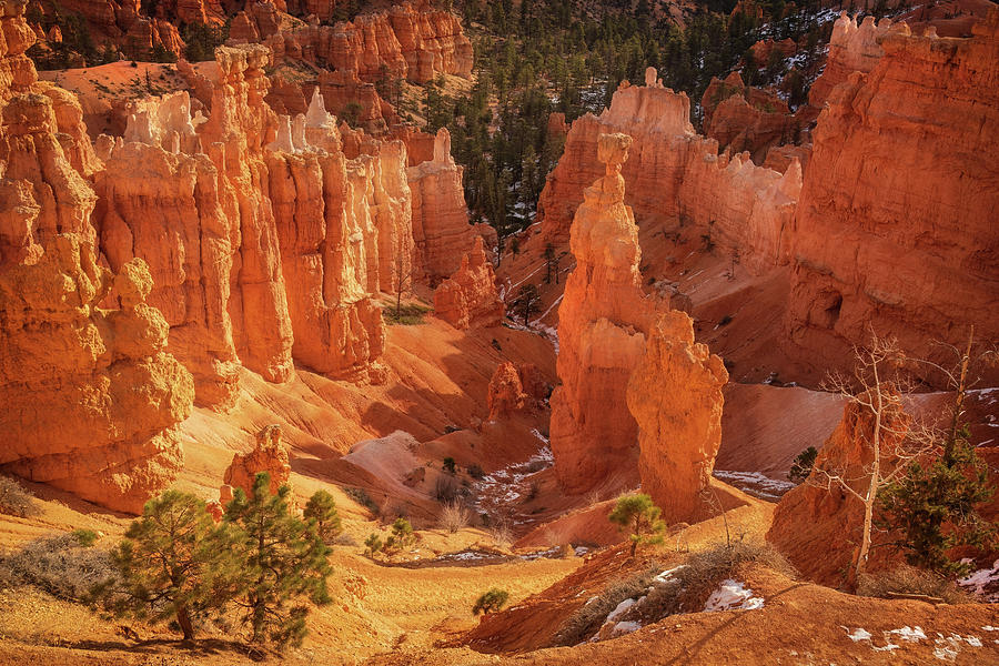 Bryce Canyon Photograph by Martin Podt - Fine Art America