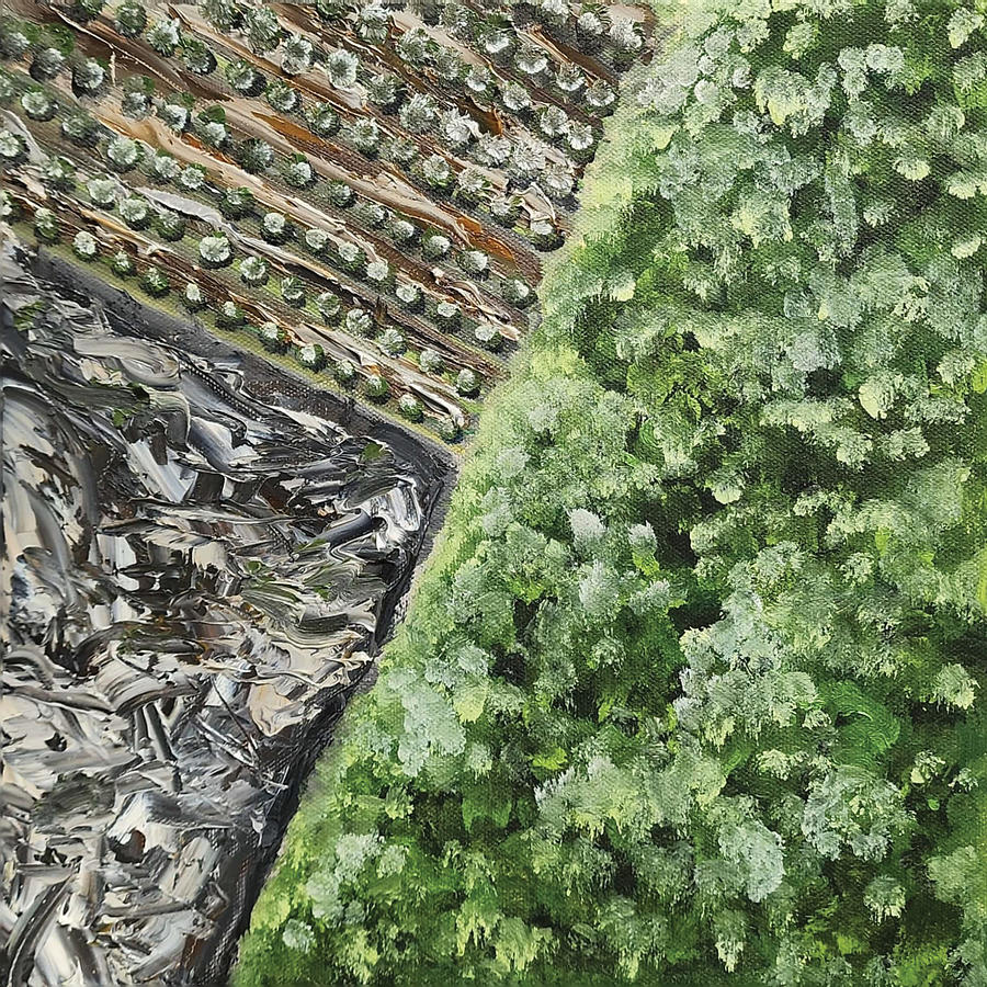 Deforestation Painting by Kelly Curl - Fine Art America