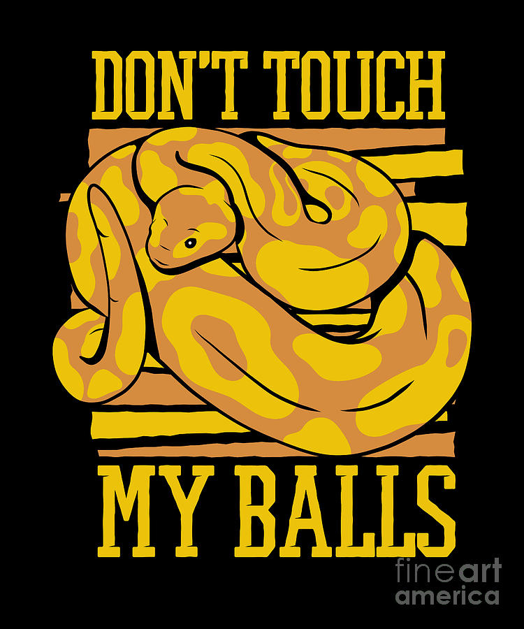 Dont Touch My Balls Pythonidae Breeder Banana Ball Python Digital Art By Graphics Lab Fine
