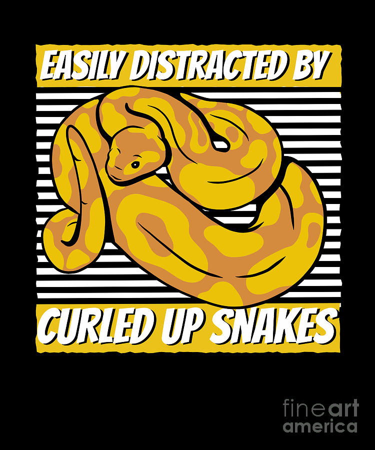Easily Distracted By Curled Up Snakes Banana Ball Python Digital Art by ...