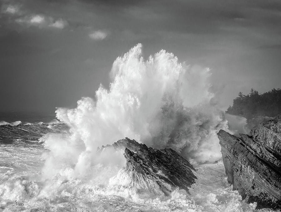 Exploding Wave, Shore Acres Photograph by Sylvia Hosie - Fine Art America