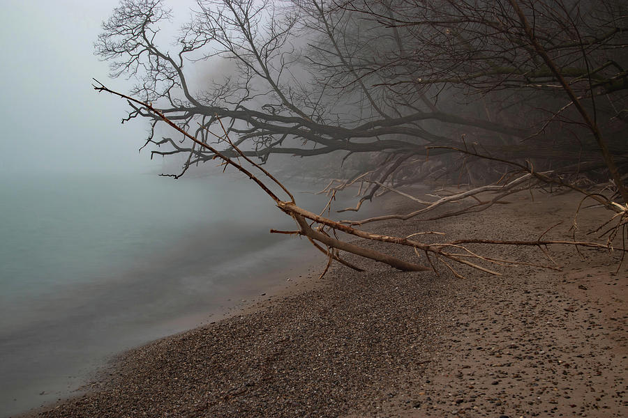 Fog Rolling In Photograph by Steve Bell | Fine Art America