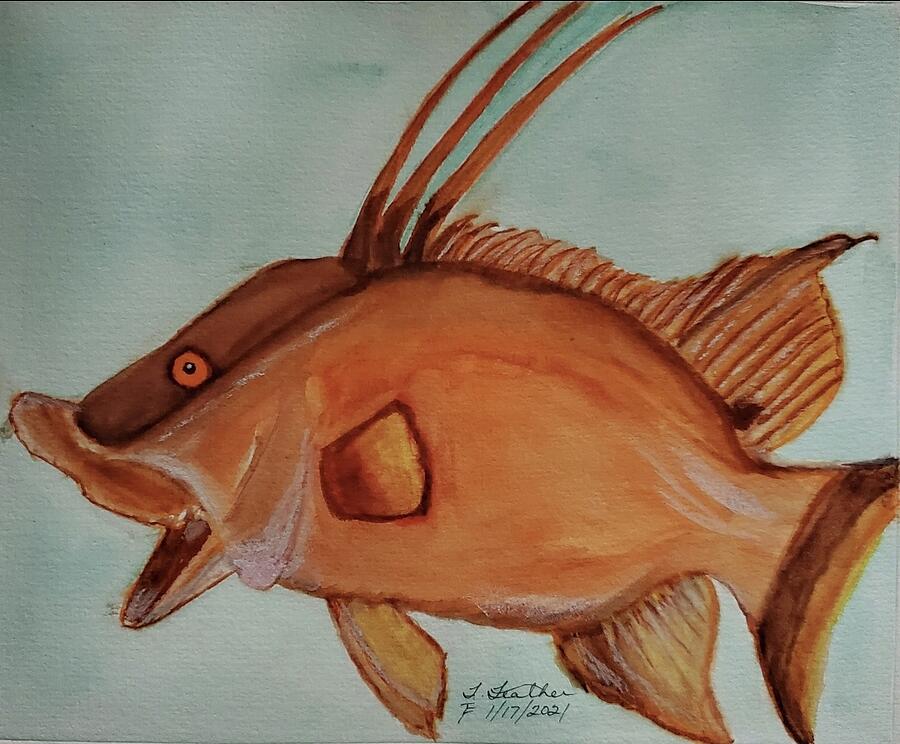Hogfish Painting by Terry Feather - Fine Art America
