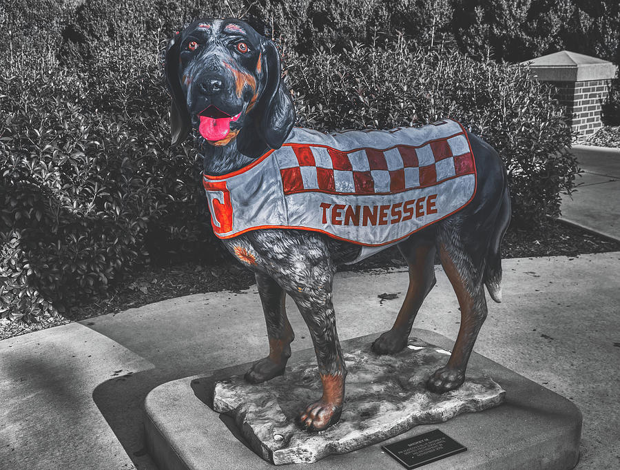 Honoring Smoky IX Photograph by Mountain Dreams | Pixels