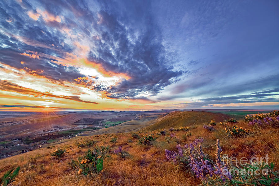 Horse Heaven Hills Sunrise #6 Photograph by William Meeuwsen - Fine Art America