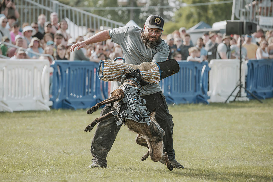 K9 Krixus - Saginaw PD - Don Morgan Photograph by Lifework Productions ...