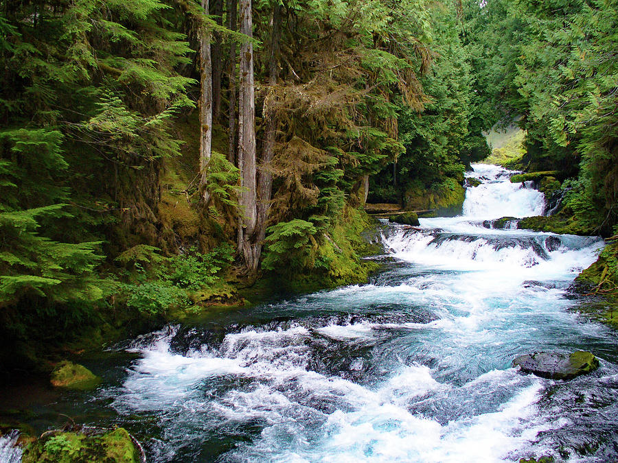 McKenzie River, Oregon Photograph by Craig Fentiman - Fine Art America