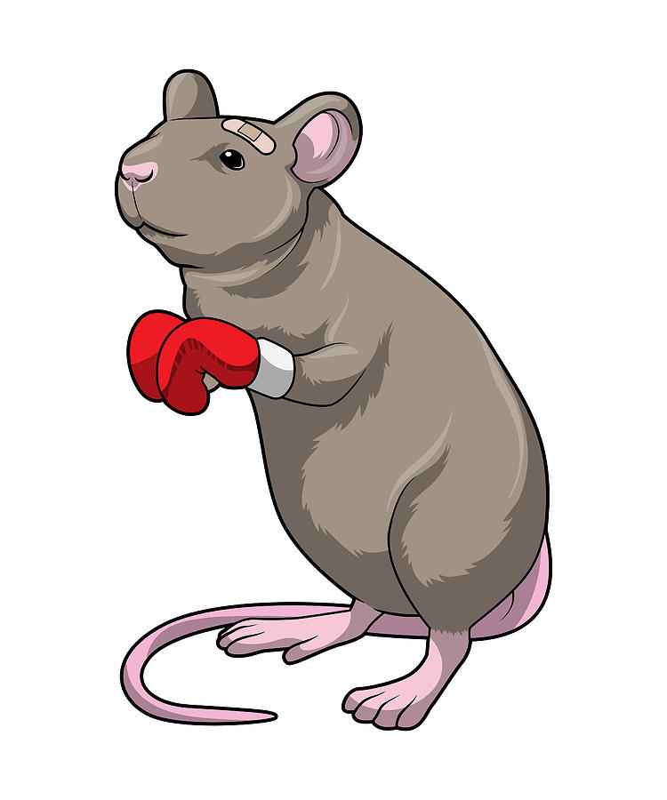 Mouse at Boxing with Boxing gloves Painting by Markus Schnabel - Pixels