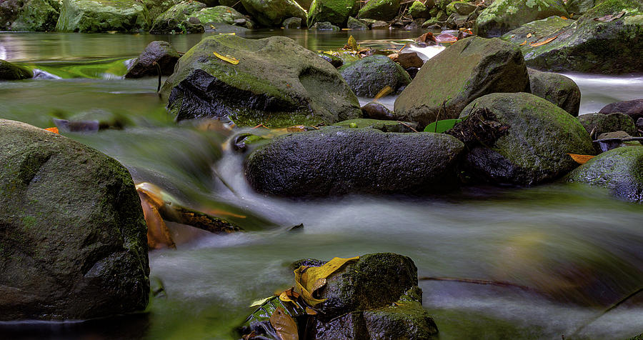 Nature's Stream Photograph by Lik Batonboot - Pixels