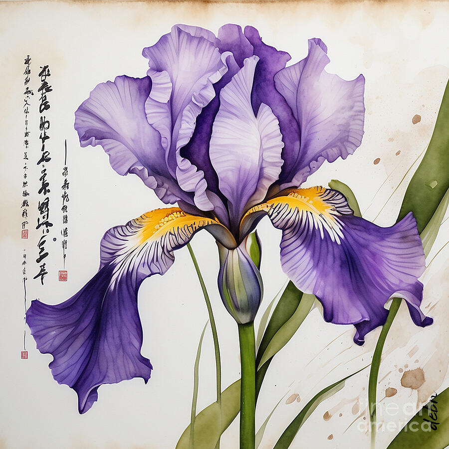 Oriental Iris #1 Digital Art by Deb Nakano - Fine Art America
