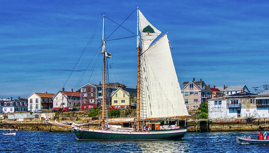 Parade of Sail, Gloucester Harbor Photograph by Scott Hufford - Fine ...
