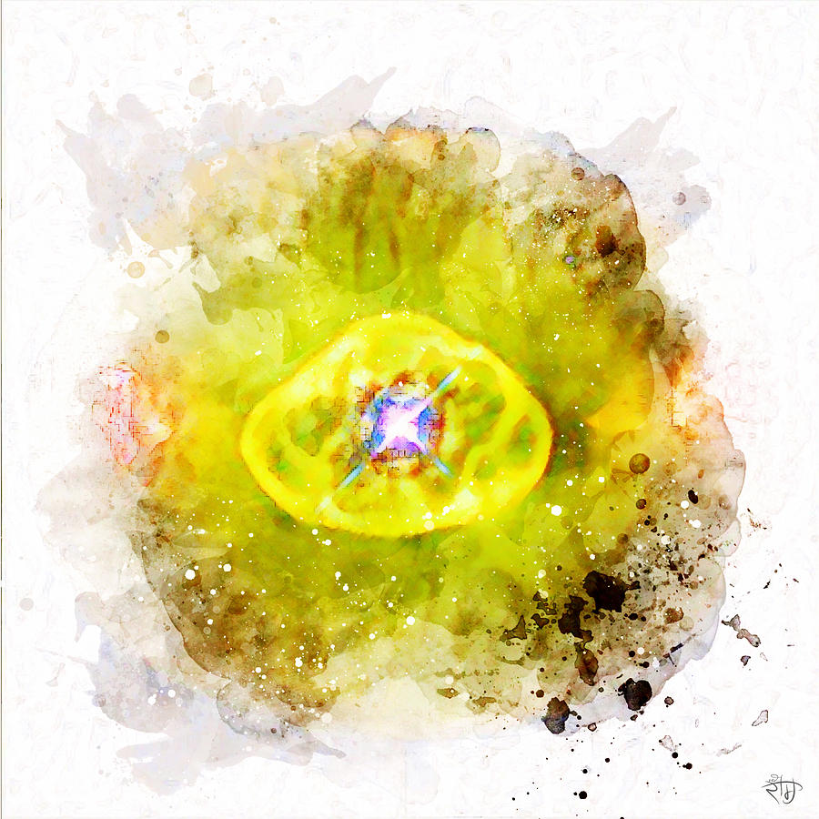 Space 4 - Mutation 1 Digital Art by Red Ram - Fine Art America