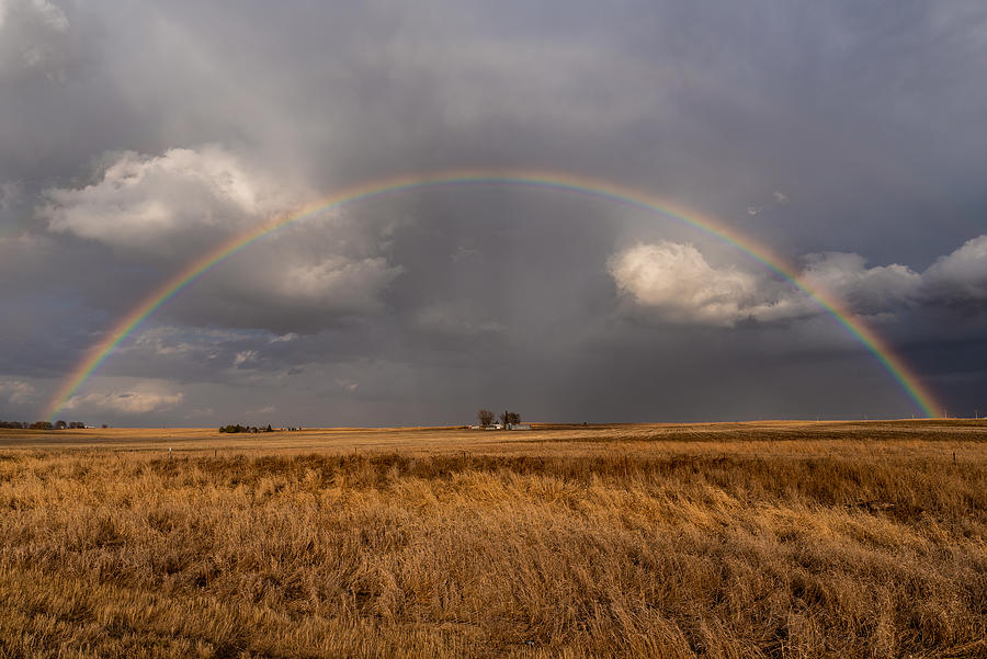 Spring Rainbow Photograph by Willard Sharp - Fine Art America
