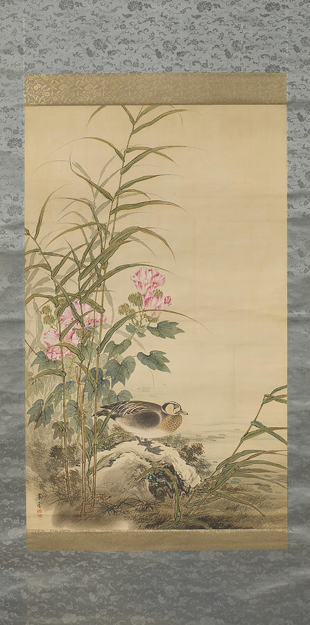 Summer Scene with Solitary Duck amidst Rose Mallow and River Reeds ...